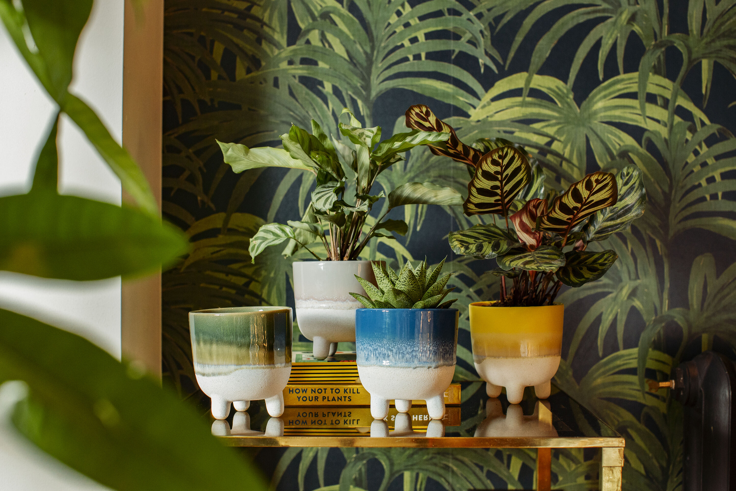 Wholesale Plant Pots Bulk Buy at Sass Belle Trade